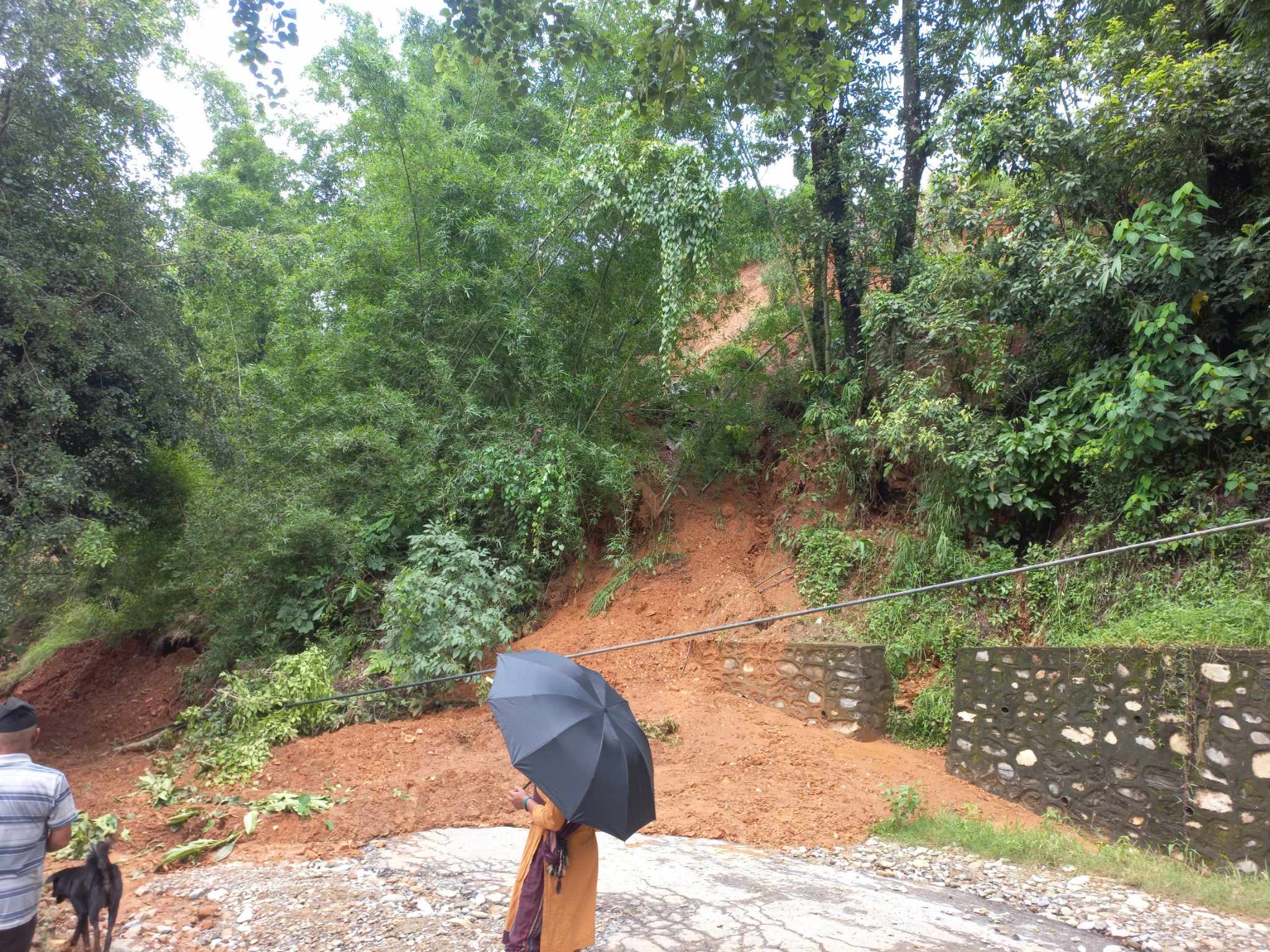 Kiran Subedi Official Website